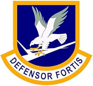 Amazon.com: fagraphix USAF Security Forces Sticker Decal Self Adhesive ...