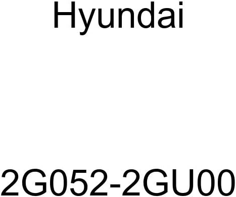 Amazon.com: Genuine Hyundai 2G052-2GU00 Short Engine Assembly : Automotive