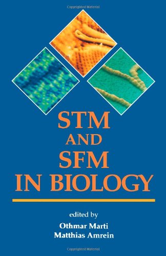 STM and SFM in Biology: 9780124745001: Medicine & Health Science Books ...