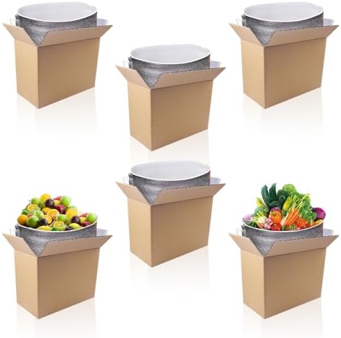 Amazon.com: 6 Pack Insulated Shipping Boxes with Aluminum Foil Liner ...