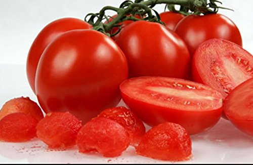 Tomato Pusa Ruby 25 gm Seeds(Pack of 4) : Amazon.in: Garden & Outdoors