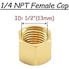 Amazon.com: Uenede 6PCS Brass 1/4 Inch NPT Female Caps Outer Hex 1/4 ...