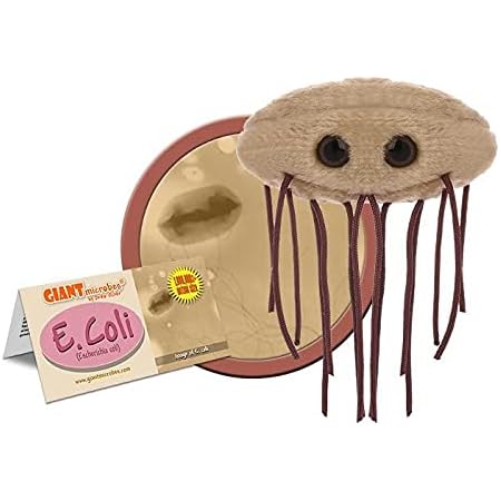 Giant Microbes Plüsch-Schlüsselanhänger CORONAVIRUS COVID-19 : Amazon ...