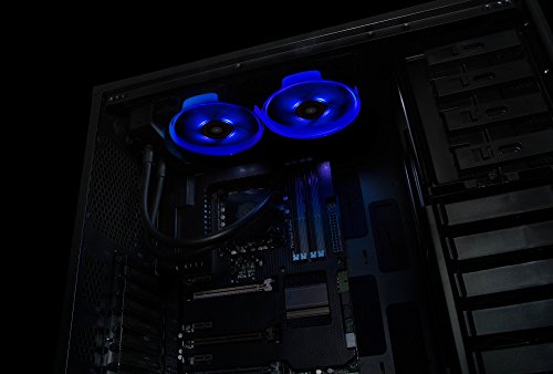 Rosewill Computer Case Fan120mm with Blue LED and PWM (Pulse Width ...