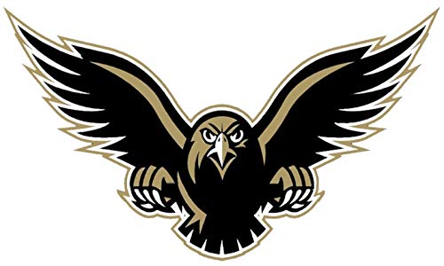 Amazon.com: 6" Round - Falcons / Hawks Mascot Birthday - D930 - 2D ...
