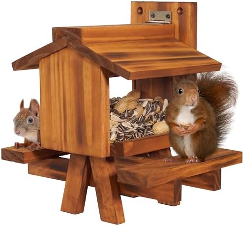 Amazon.com : Squirrel Feeder with Camera - 3MP HD Wireless Squirrel ...