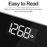 Best Renpho Scales Comparison - October 2025