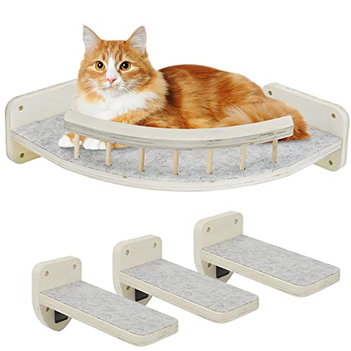Cat Shelves – The 15 best products compared - Wild Explained