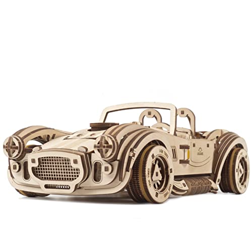 The 22 Best Wood Model Kits for Adults in 2025