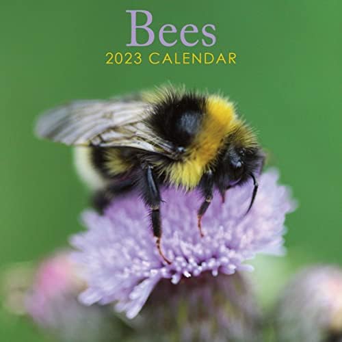 2023 Bees Square Hanging Wall Calendar - No Plastic - 12" x 12" Planner ...