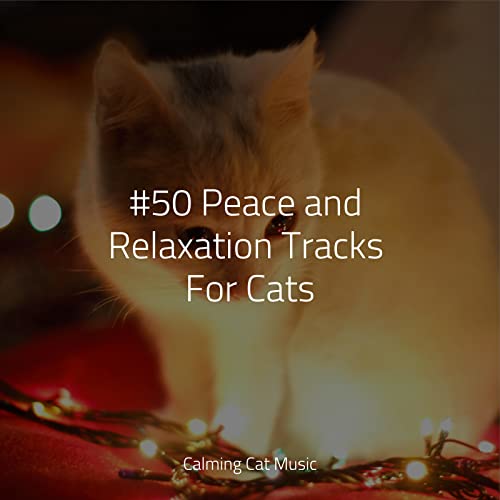Amazon MusicでMusic for Cats Peace, Calm Music for Cats & Official Pet ...