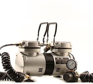 Silentaire Scorpion II Compressor Scorpion II, Air Compressors - Amazon ...