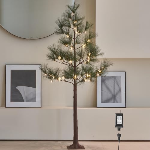 Amazon.com: Hairui Lighted Christmas Pine Tree 90 LED Fairy Lights 4FT ...