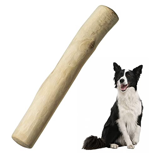 Kaffeeholz Kaustab – Die 15 besten Produkte im Vergleich - HundeINFOPortal