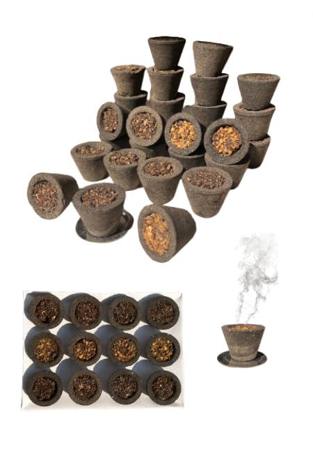 Dhoop Cups for Pooja Hawan | Natural Guggal Raw Dhoop Cup with Sambrani ...