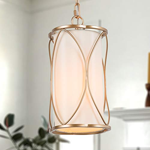 Optimant Lighting Gold Pendant Lighting, Modern Cage Hanging - Want It All