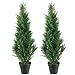 Amazon.com - TRESIL Two 3 Foot Artificial Cedar Topiary Tree Potted