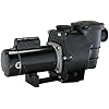 Amazon.com : Doheny's Harris ProForce 1.5 HP Inground Pool Pump 220V ...