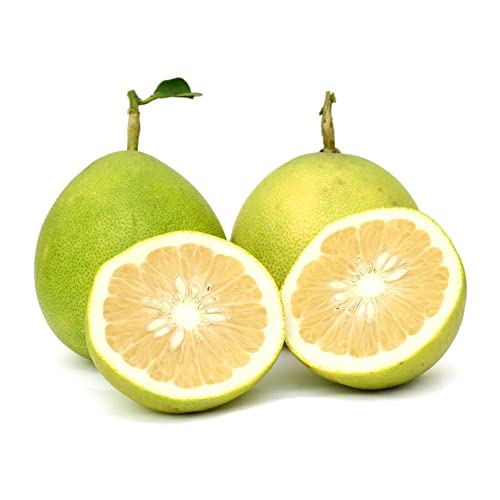 What is a pomelo fruit - Grow plants