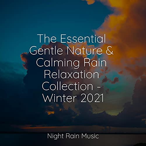 The Essential Gentle Nature & Calming Rain Relaxation Collection ...
