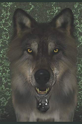 The Wolf Stone: Book 1 of the Wolf-Kin Chronicles: Moore, Liam ...