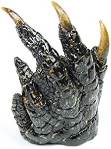 Amazon.com: Taxidermy Preserved Alligator Claw 3-5" | 1 Piece : Home ...