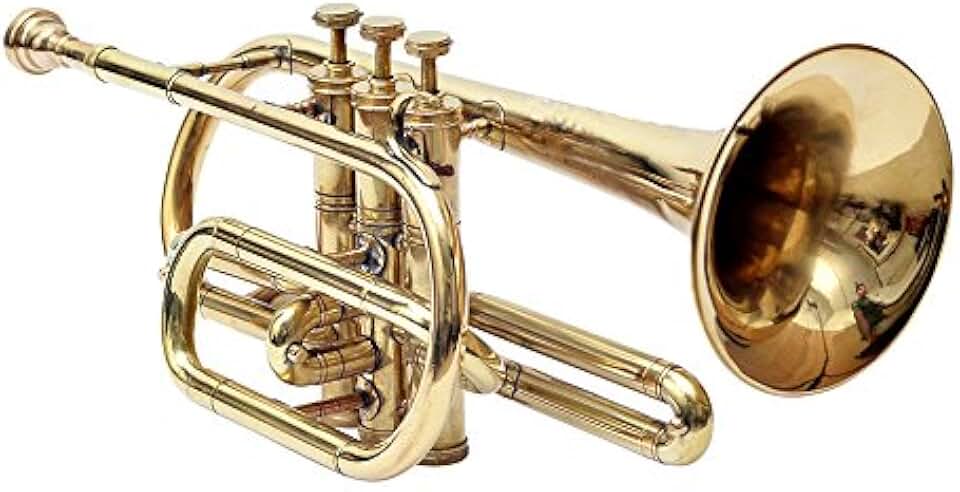 Amazon.com: Cornets - Cornets / Brass Instruments: Musical Instruments