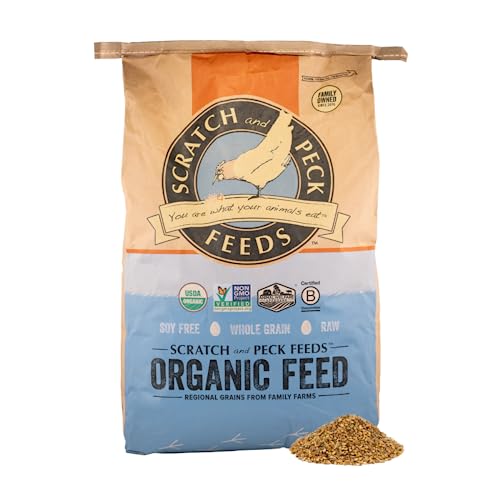 Cluck Yeah: 10 Must-Try Chicken Food Products - Your Ultimate Buying ...