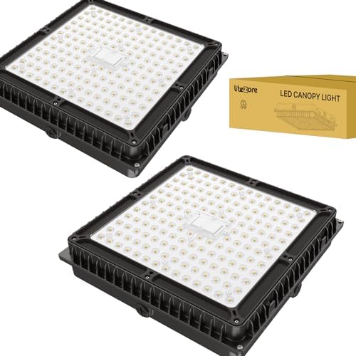 Litezone 100W LED Canopy Light 2Packs,13000LM Canopy LED Lights, 5000K ...