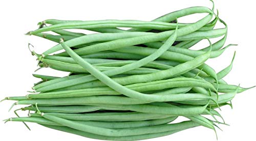 Creative Farmer Vegetable Seeds Pencil Beans Seeds - French Bean Seeds ...