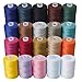 Amazon.com: Sewing Thread Kit 20Colors 1000 Yards Polyester Threads ...