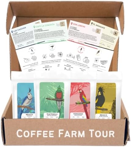 Amazon.com : Canopy Point Coffee | Ground Coffee Sample Pack | Gourmet ...