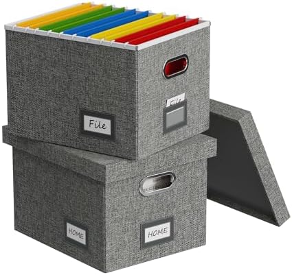 Amazon.com: BLU MONACO File Folder Box: Grey File Boxes with Lids ...