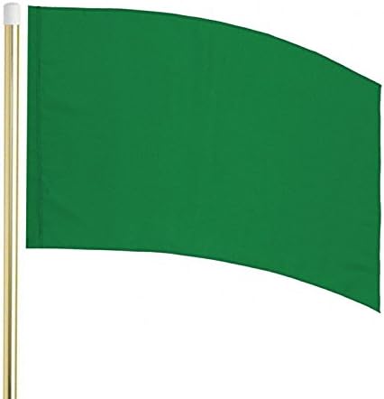 Amazon.com : 6' Gold Flag Pole and Color Guard Flag Package (Green ...