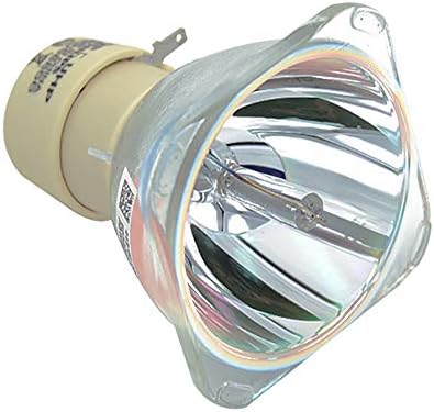 Amazon.com: Araca (OEM Original Bulb BL-FU240A /5J.J9V05.001 /1510X ...