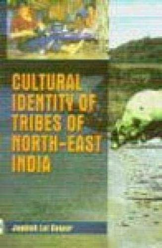 Cultural Identity of Tribes of Northeast India: Amazon.co.uk: Dawar ...