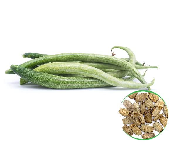 Master Green Gardening Vegetable Natural Organic Snake Gourd / Long (20 ...