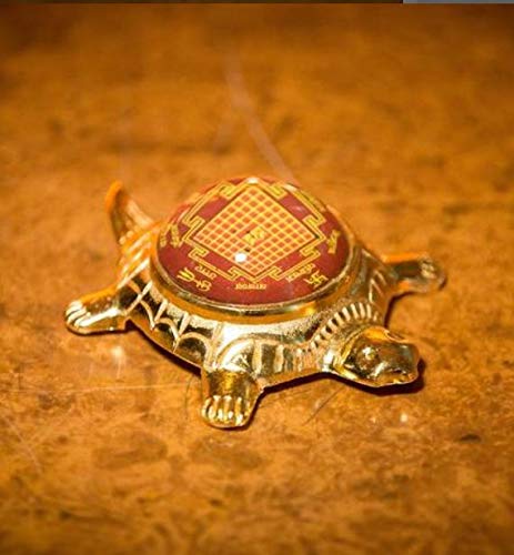 Buy BRIJ DHAROHAR FENG Shui Golden Tortoise with SHRI VASTU DOSH ...