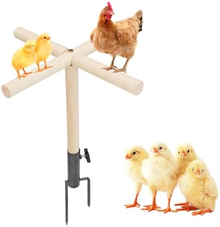 Amazon.com : Kalekey Chicken Perch Toy for Coop, Chicken Perch Stand ...