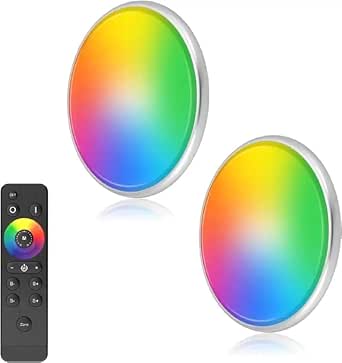 Amazon.com: Asooll RGB RV Ceiling Lights,2 Pack 12V LED Ceiling Dome ...