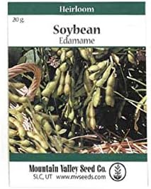 Amazon.com : Midori Giant Edamame Seeds for Planting, 25+ Heirloom ...