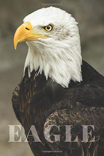 Eagle: Animal Notebook for Coloring Drawing and Writing (110 Pages ...