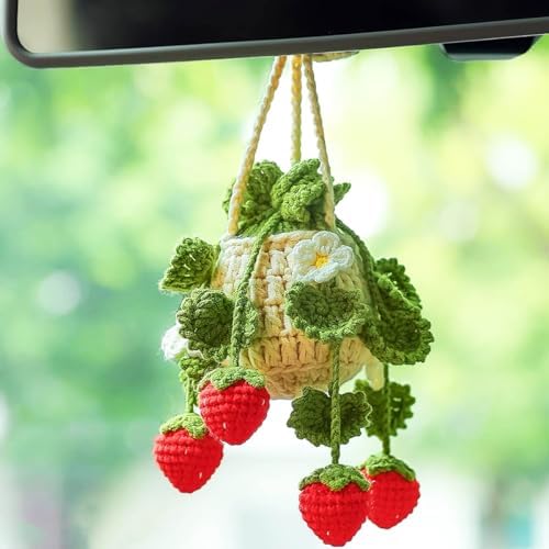 Amazon.com: Combo 3 Handmade Accessories - Plant Strawberry Car ...