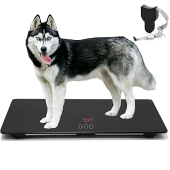 Amazon.com: Digital Pet Scale for Small Medium/Large Dogs,Dog Weight ...