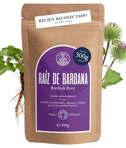 10 Mejores Raiz De Bardana 2026. Mi Experiencia y Opiniones.