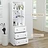 Amazon.com: VOWNER Vertical File Cabinet, 3-Tier Modern Bookshelf with ...