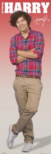 Amazon.com: One Direction - 1D - Door Music Poster/Print (Harry Styles ...