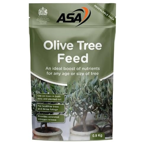 Olive Tree Fertiliser Garden Shrub & Hedge Fertiliser Slow Release Root ...
