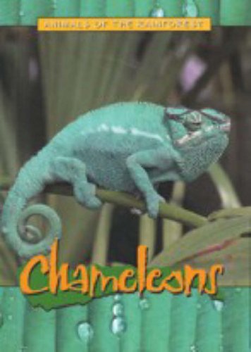 Chameleons (Animals of the Rainforest S.): Amazon.co.uk: Deiters, Erika ...