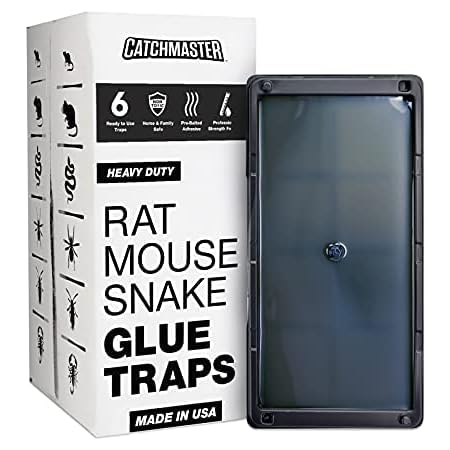 Amazon.com: Tomcat Glue Traps Mouse Size with Eugenol for Enhanced ...